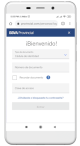 Hazlo todo con Provinet web | BBVA Provincial