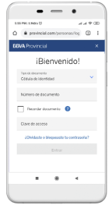 Hazlo todo con Provinet | BBVA Provincial